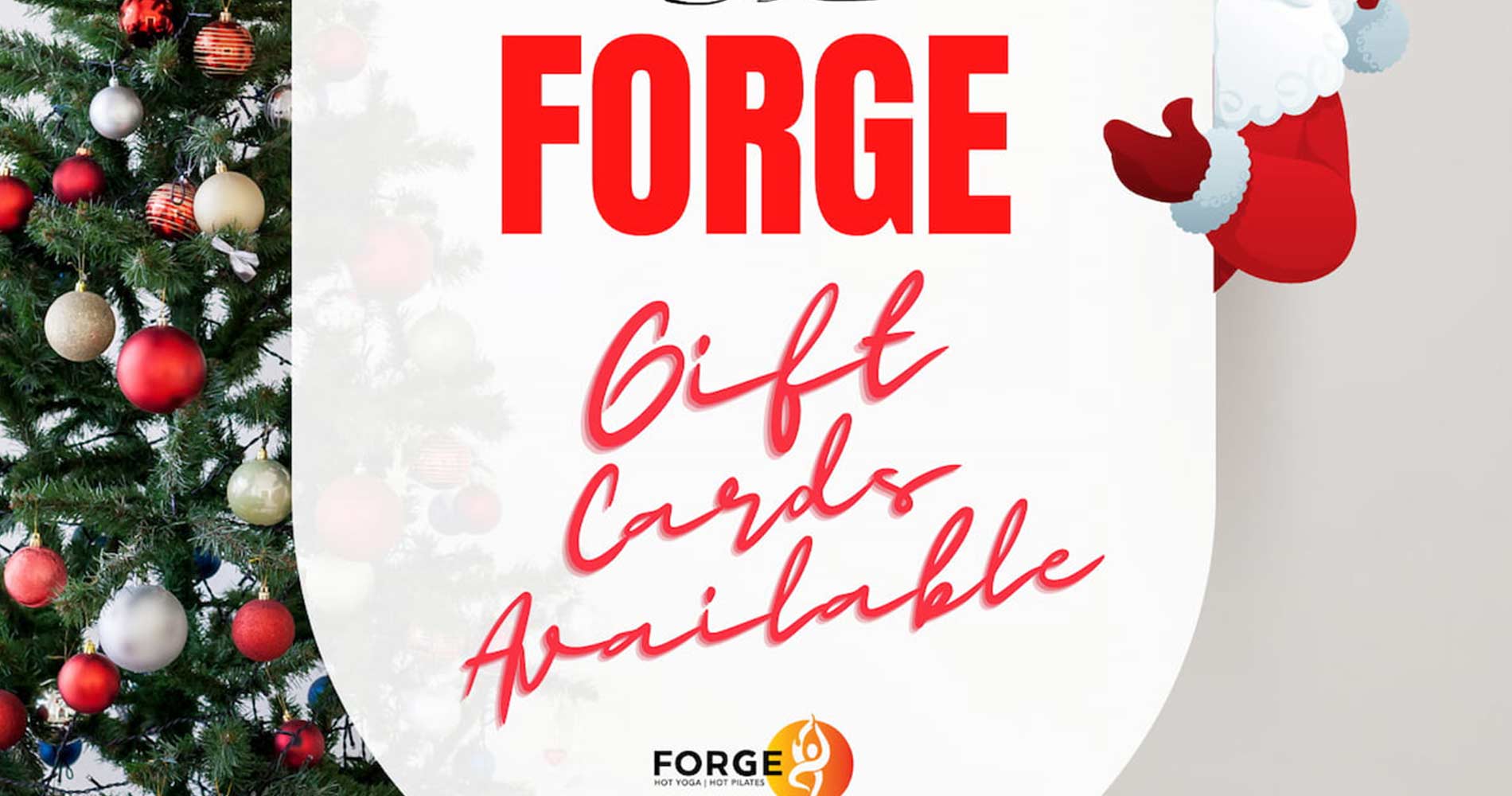 Forge Hot Yoga & Hot Pilates | Serving you from Portland, Oregon