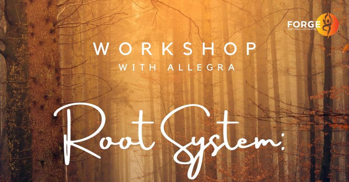 Forge Hot Yoga & Hot Pilates | Serving you from Portland, Oregon